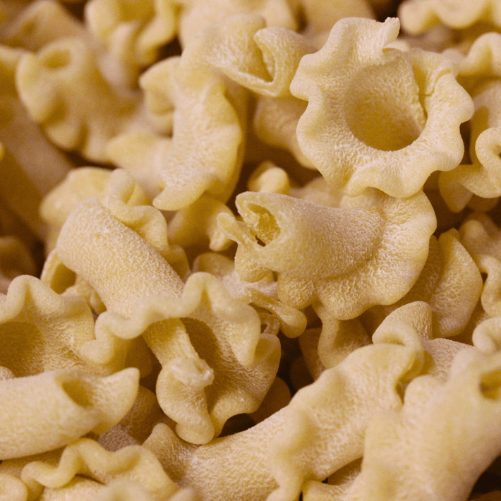Artisan Pasta – Della Terra Pasta
